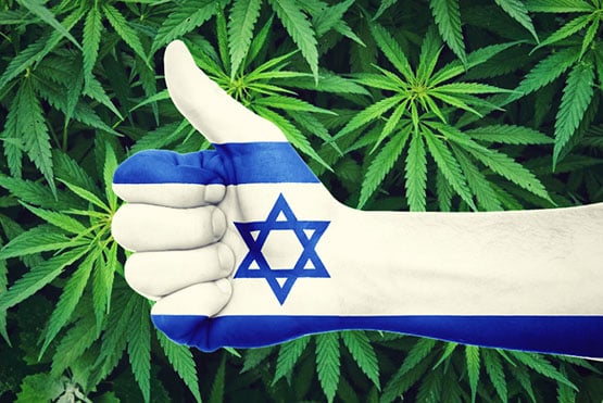 Israël approuve les exportations de cannabis à usage médical - Blog ...